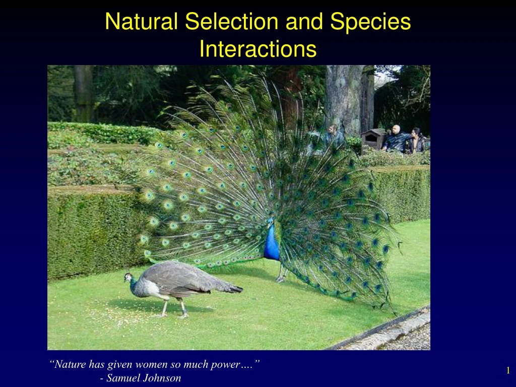 PPT - Natural Selection and Species Interactions PowerPoint ...