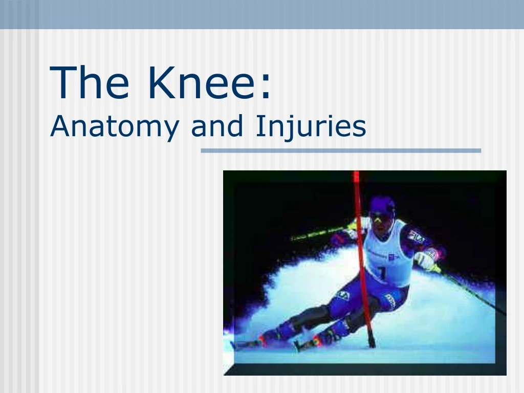 PPT - The Knee: Anatomy and Injuries PowerPoint Presentation, free ...