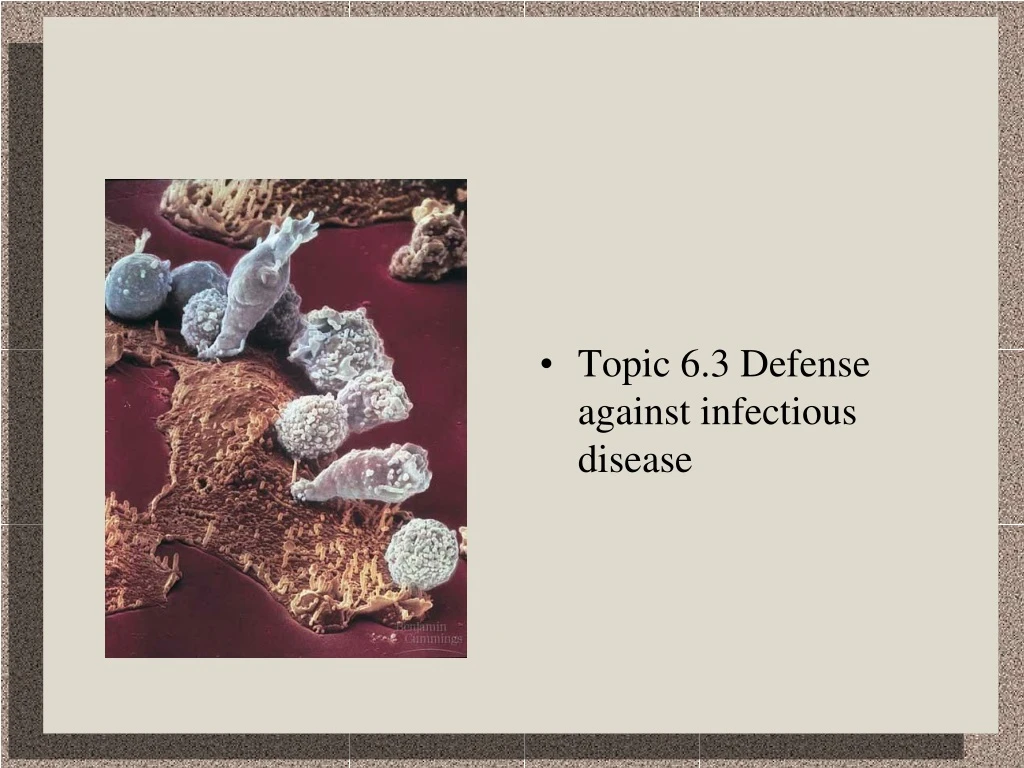 PPT - Topic 6.3 Defense against infectious disease PowerPoint ...