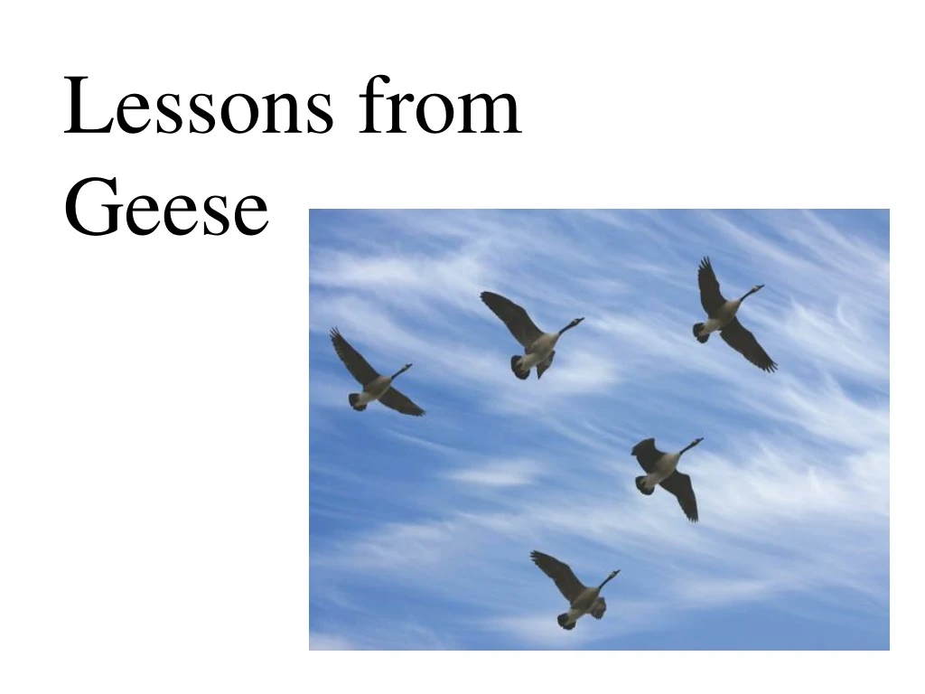 PPT - Lessons from Geese PowerPoint Presentation, free download - ID ...