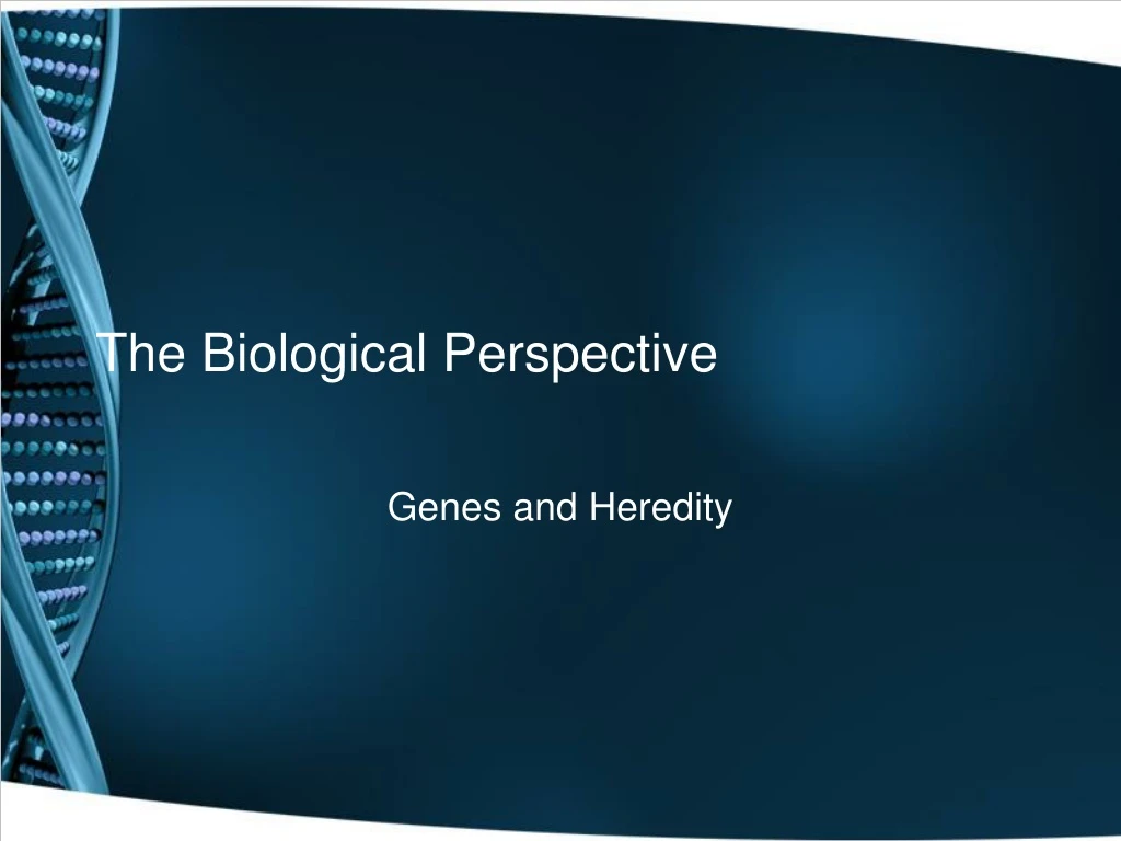 PPT - The Biological Perspective PowerPoint Presentation, free download ...