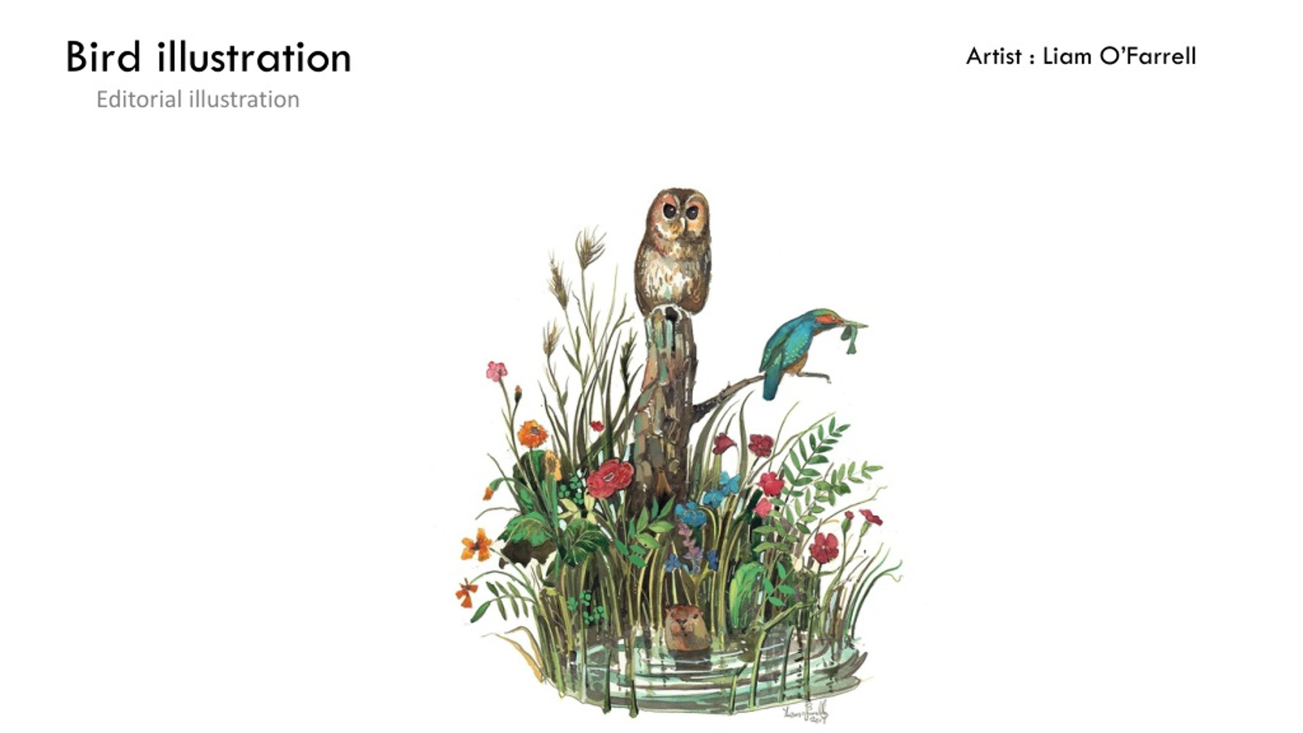 PPT - Liam O'Farrel - Architectural & Lifestyle Illustrator PowerPoint ...