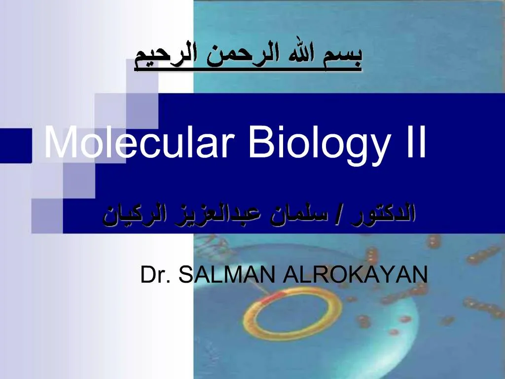 PPT - Molecular Biology II PowerPoint Presentation, free download - ID ...