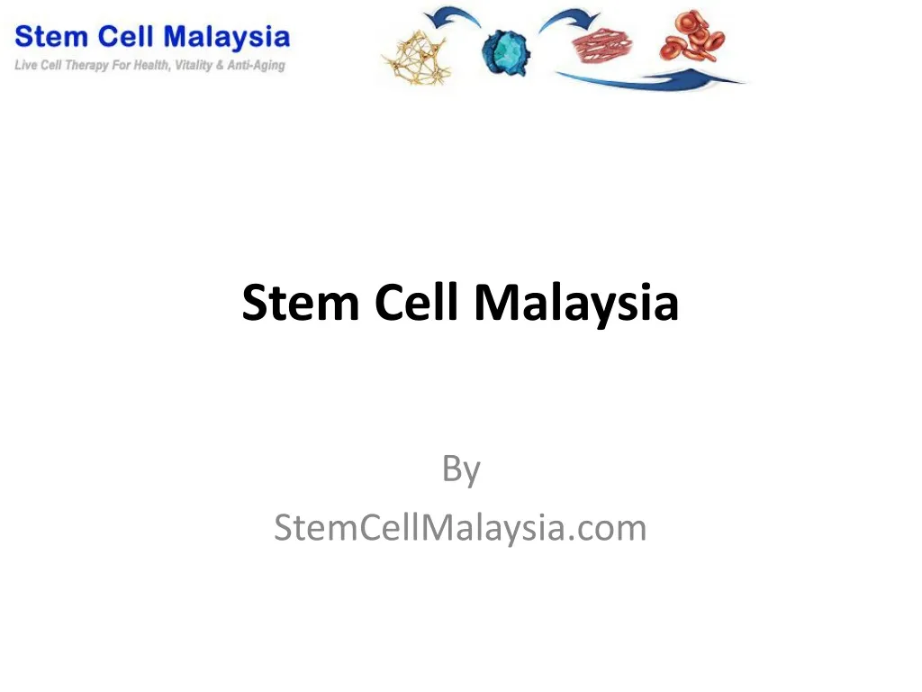 PPT - Stem Cell Malaysia PowerPoint Presentation, free download - ID:928979