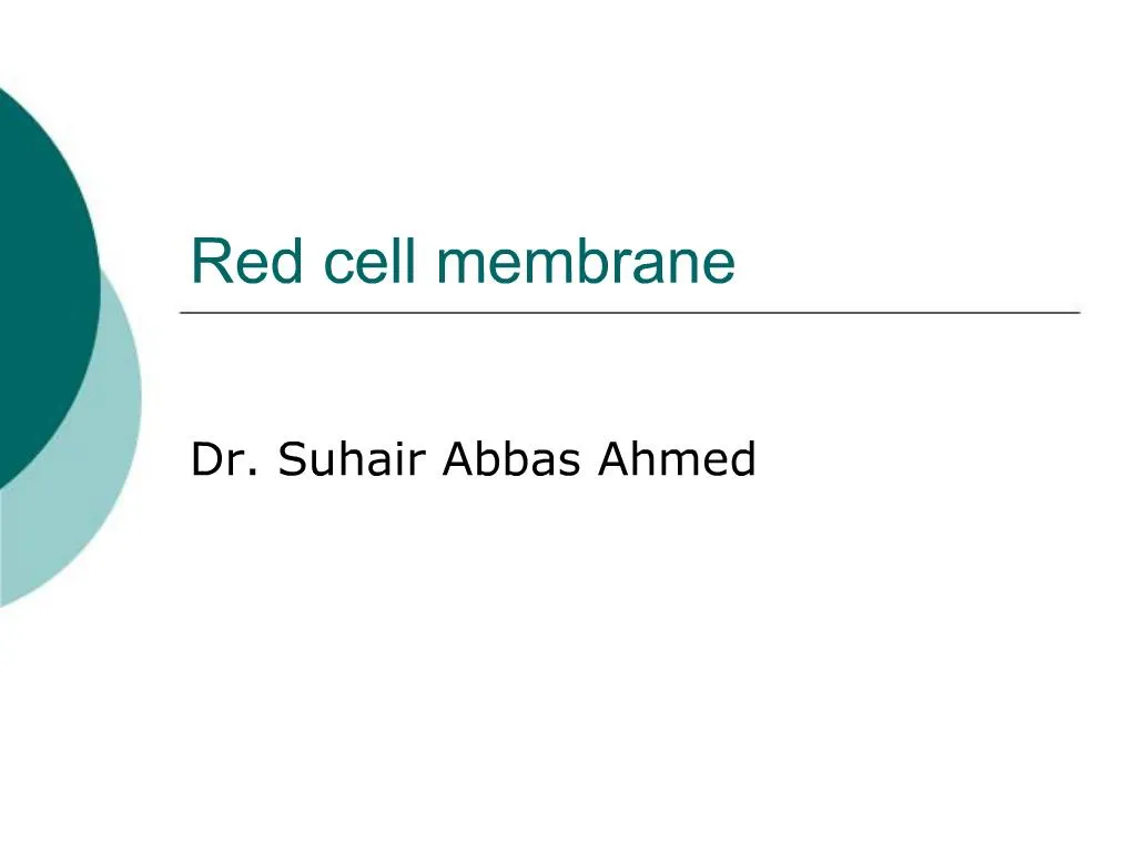 PPT - Red cell membrane PowerPoint Presentation, free download - ID:929555