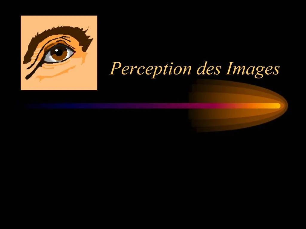 PPT - Perception des Images PowerPoint Presentation, free download - ID ...