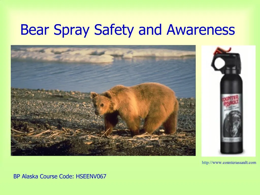 PPT - Bear Spray Safety and Awareness PowerPoint Presentation, free ...