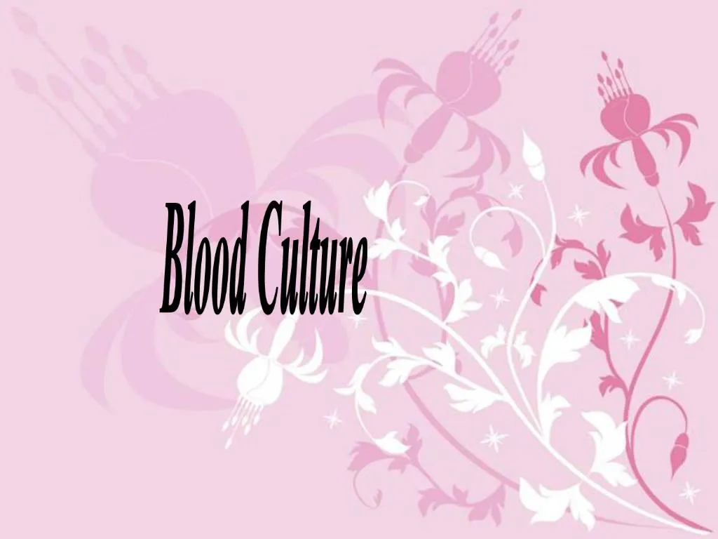 PPT - Blood Culture PowerPoint Presentation, free download - ID:942128