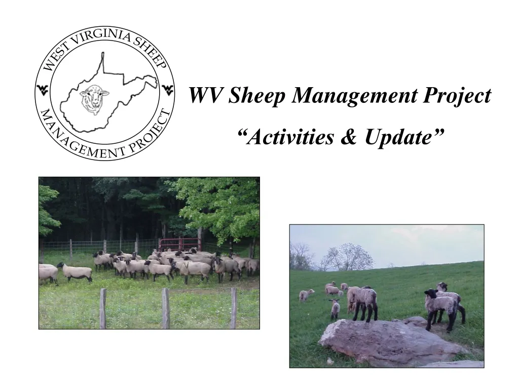 PPT - WV Sheep Management Project “Activities & Update” PowerPoint ...