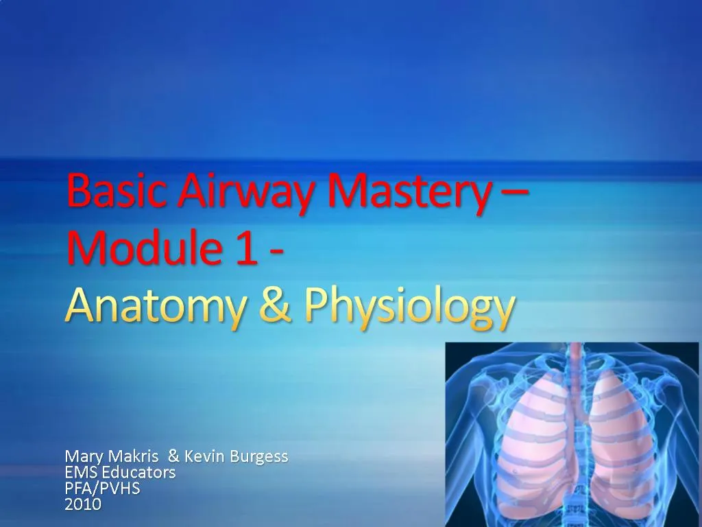 PPT - Basic Airway Mastery Module 1 - Anatomy Physiology PowerPoint ...