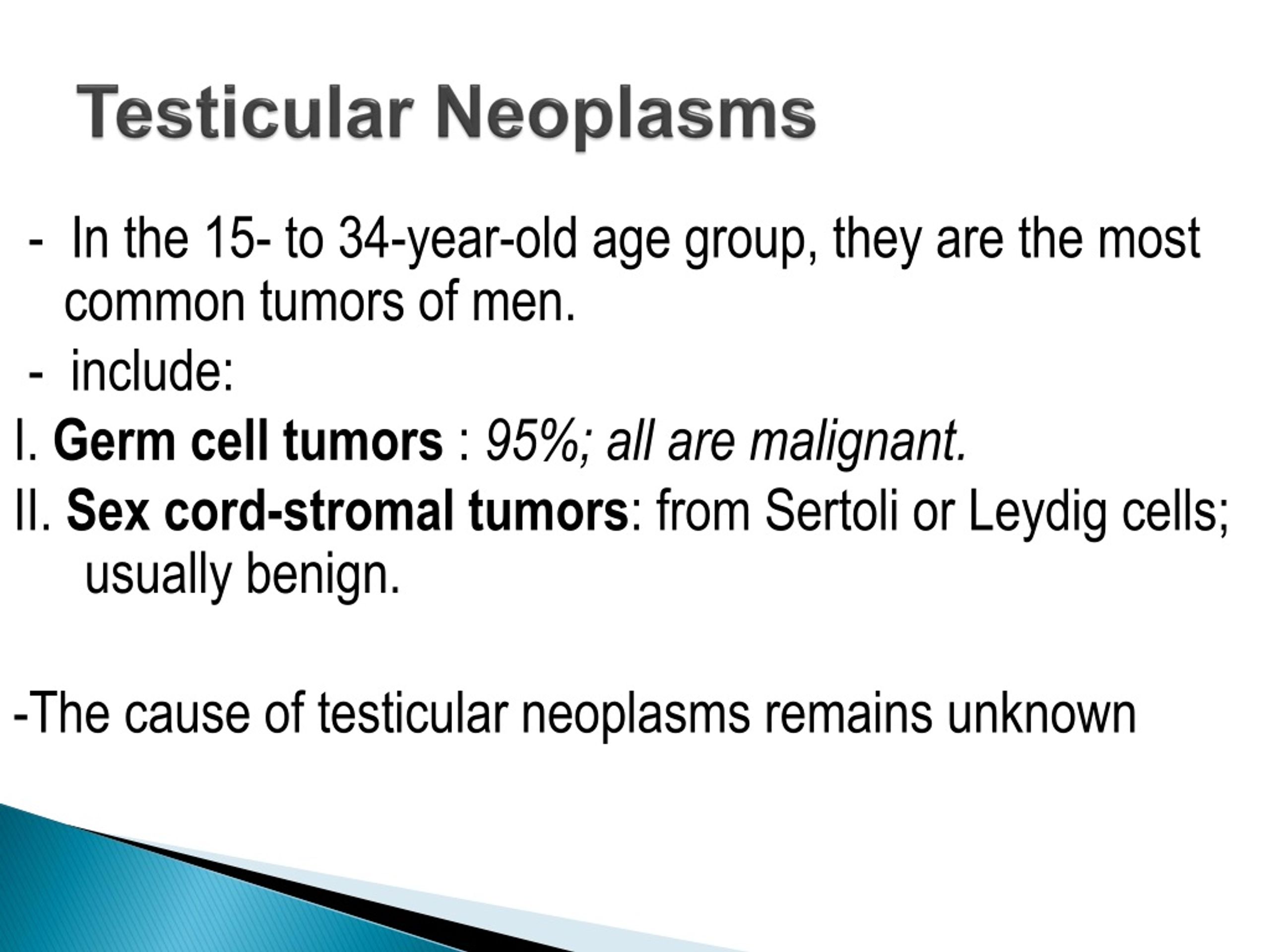 Ppt Testicular Neoplasms Powerpoint Presentation Free Download Id