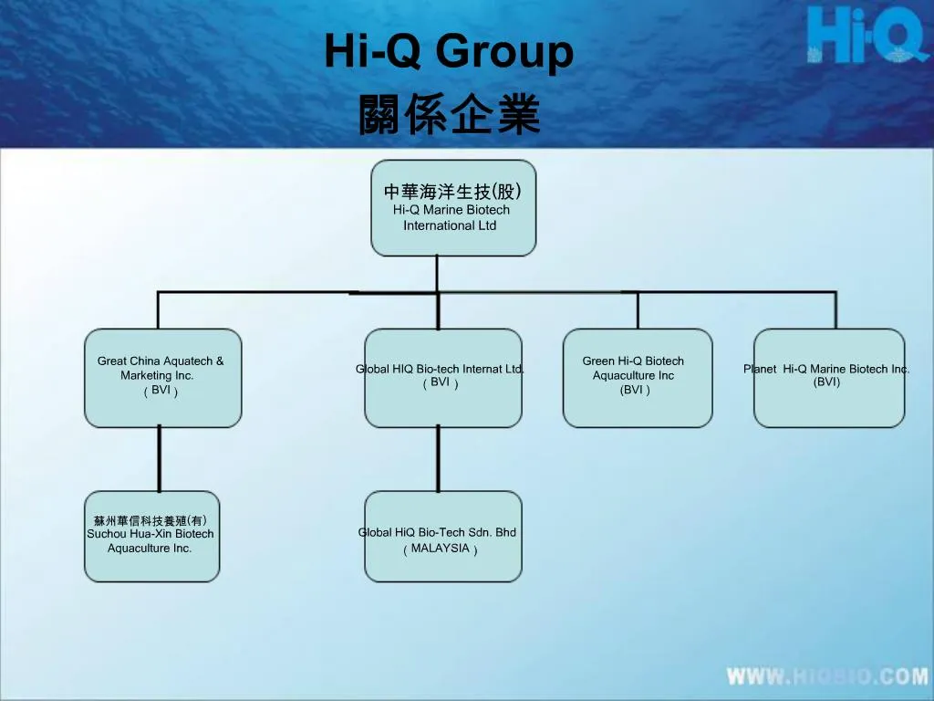 PPT - Hi-Q Group PowerPoint Presentation, free download - ID:981197
