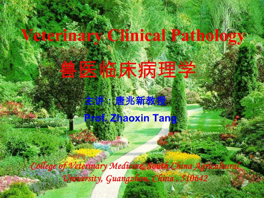 PPT - Veterinary Clinical Pathology PowerPoint Presentation, free ...