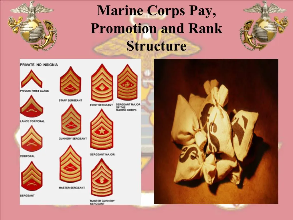 PPT - Marine Corps Pay, Promotion and Rank Structure PowerPoint ...