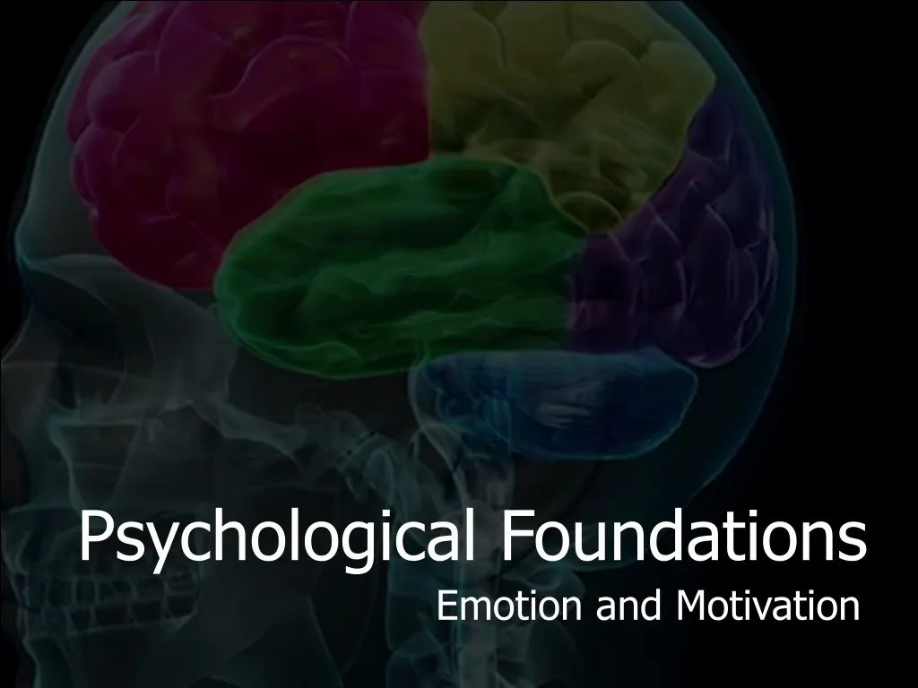 PPT - Psychological Foundations PowerPoint Presentation, free download - ID:987966