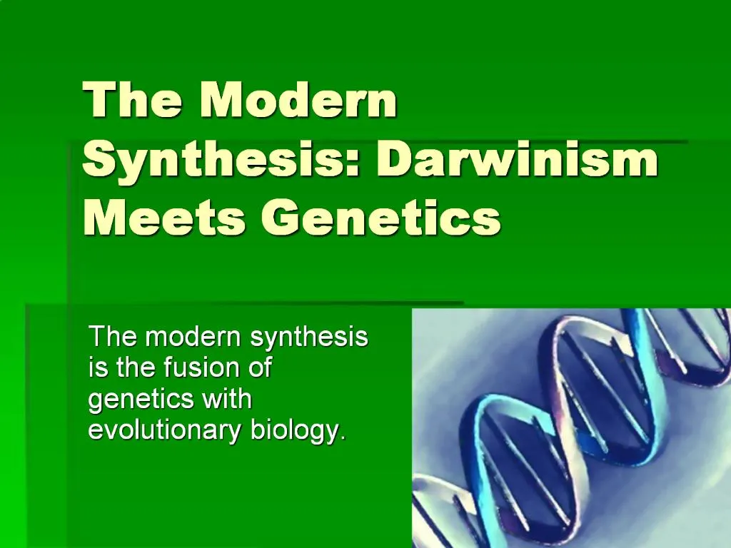 PPT - The Modern Synthesis: Darwinism Meets Genetics PowerPoint ...