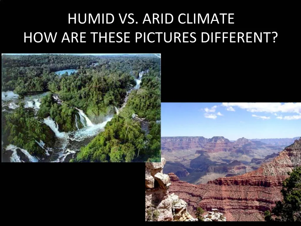 PPT - HUMID VS. ARID CLIMATE HOW ARE THESE PICTURES DIFFERENT ...